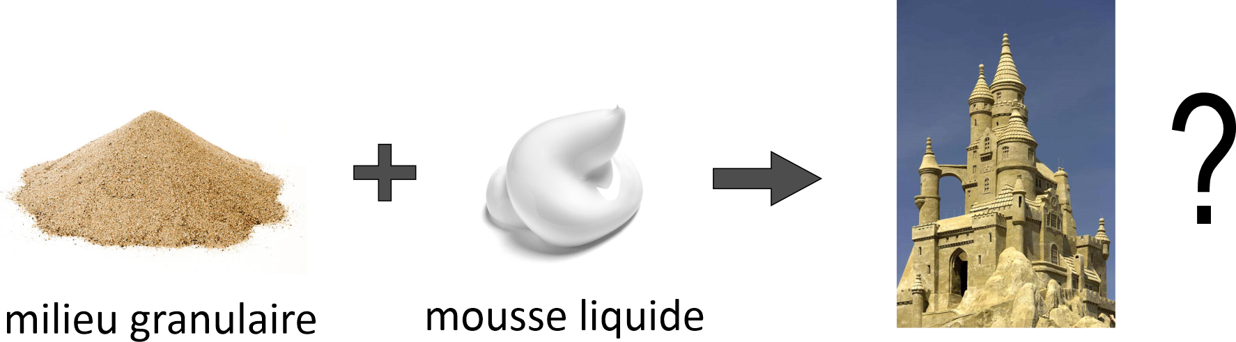 Giving Cohesion to Granular Matter: When Liquid Foam Meets Grains ...